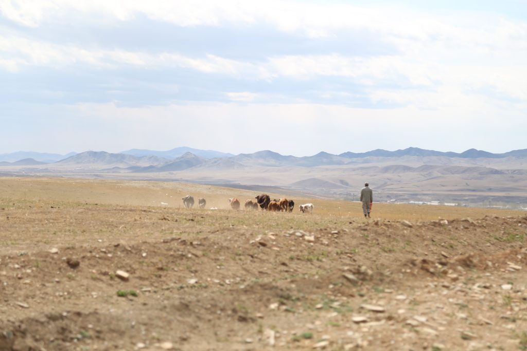 Left in the Dark on Pollution, Mongolia's Poorest Communities Must Use ...